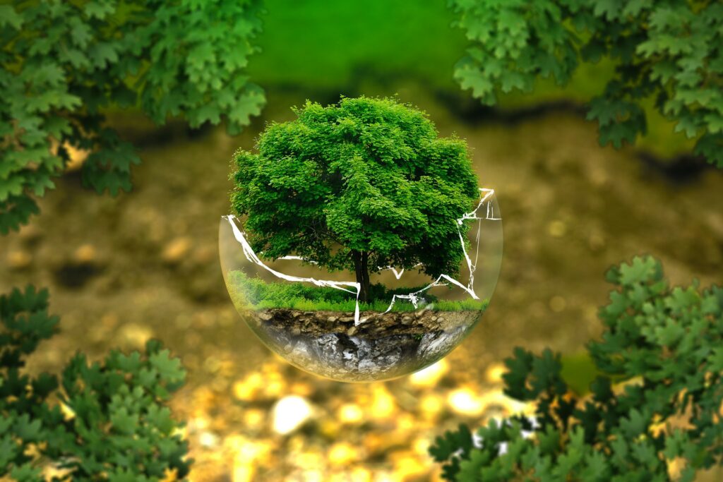 4 Reasons Why We Need Every Tree and Plant on Planet Earth! ~ Kathryn ...