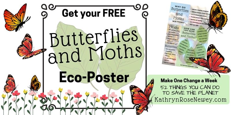 'Butterflies and Moths Matter' Eco-Poster - Kathryn Rose Newey