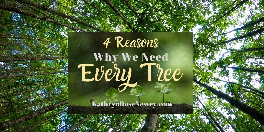 4 Reasons Why We Need Every Tree And Plant On Planet Earth Kathryn 4-reasons-why-we-need-every-tree-and-plant-on-planet-earth-kathryn